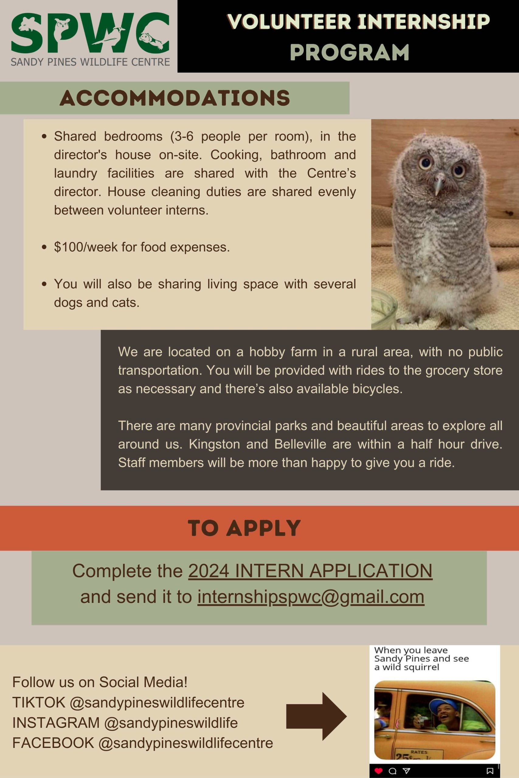 Volunteer Internship Program