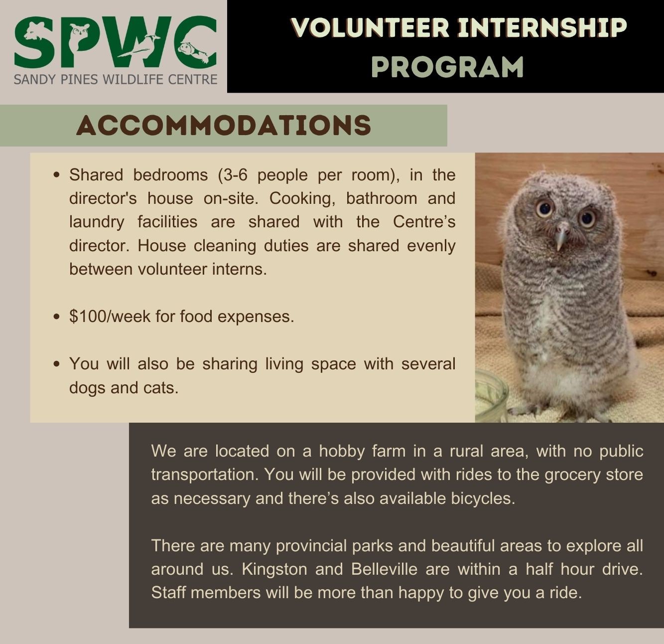 Volunteer Internship Program